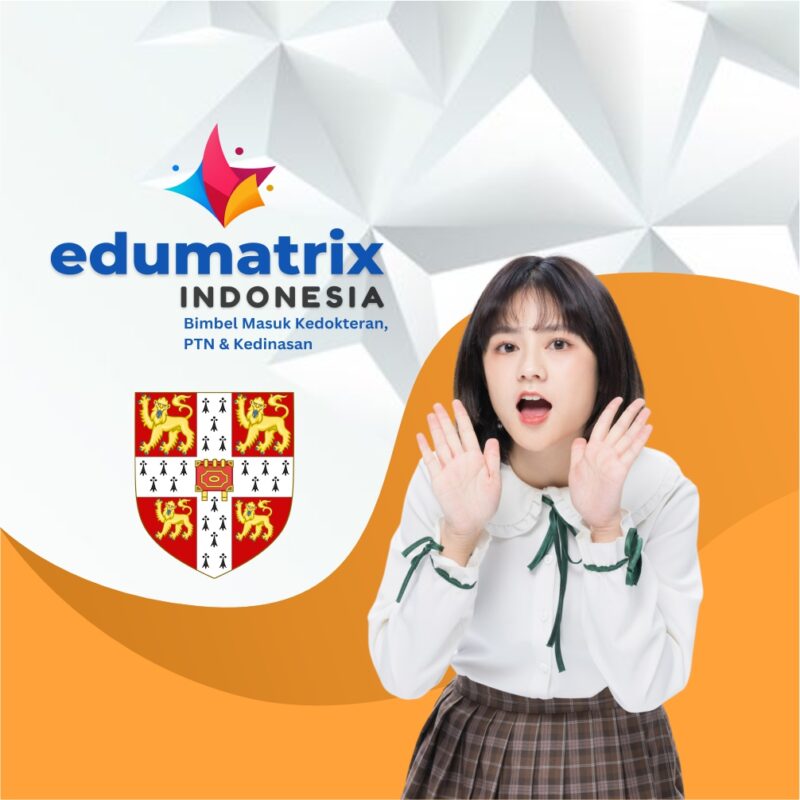 Tutor for International School Students - Bimbel Masuk PTN - SNBT 2026 ...